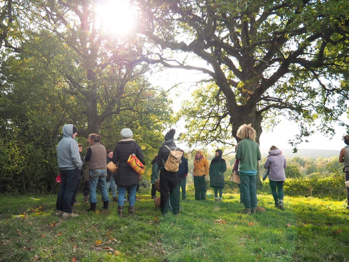 Acorn Processing Workshop (for adults) - Children’s Forest