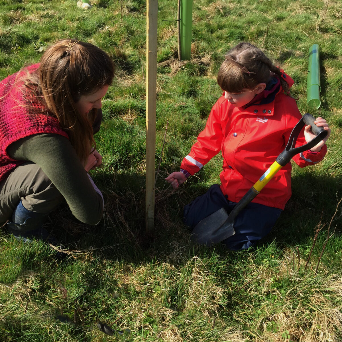 Learn - Children's Forest
