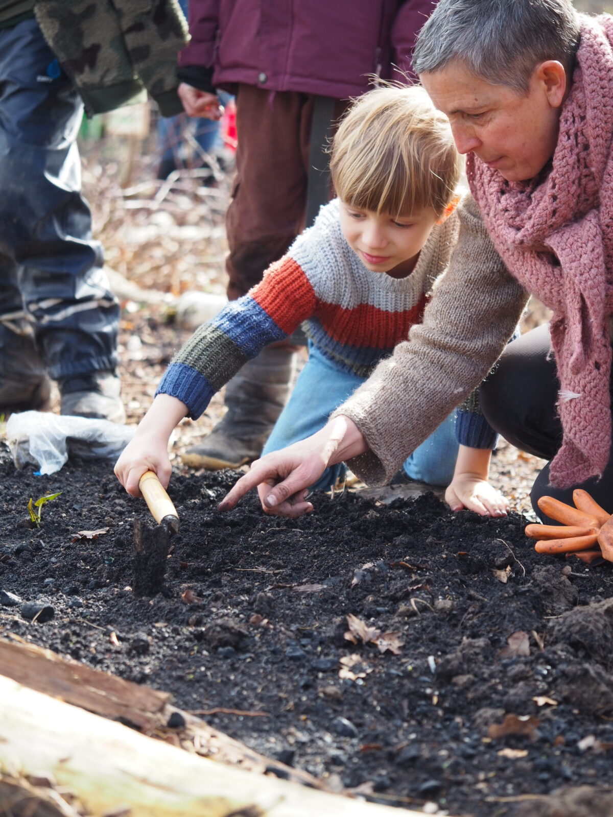 Forest from Seed - Children's Forest