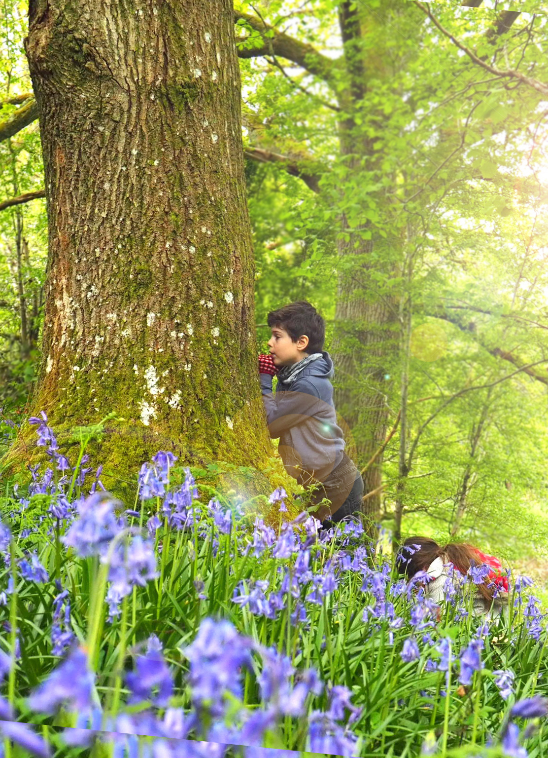 Children & Community - Children's Forest