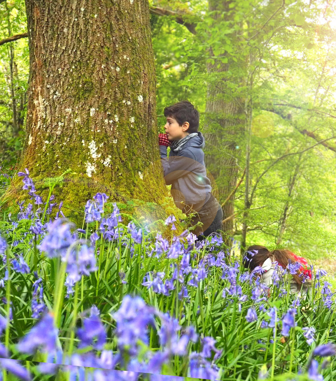 Land owners - Children's Forest
