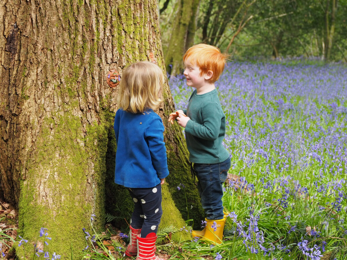Children's Forest - A movement to inspire and enable children to plant ...
