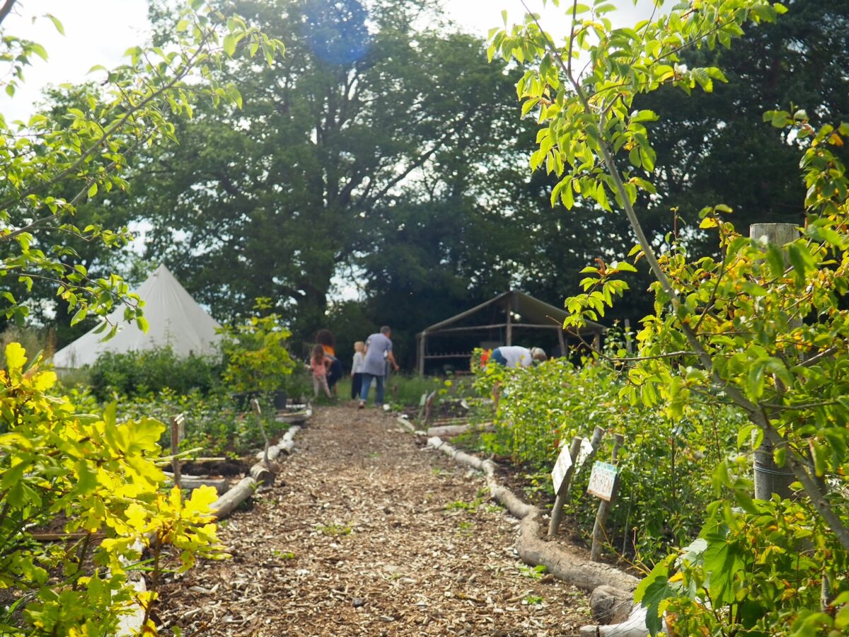 Tree Nursery Community Volunteer day - Children’s Forest