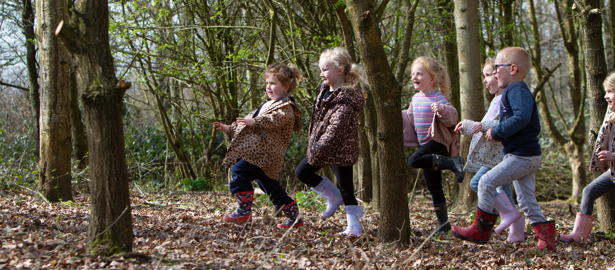 Webinar; How Children’s Forest can enrich your Forest School practice ...