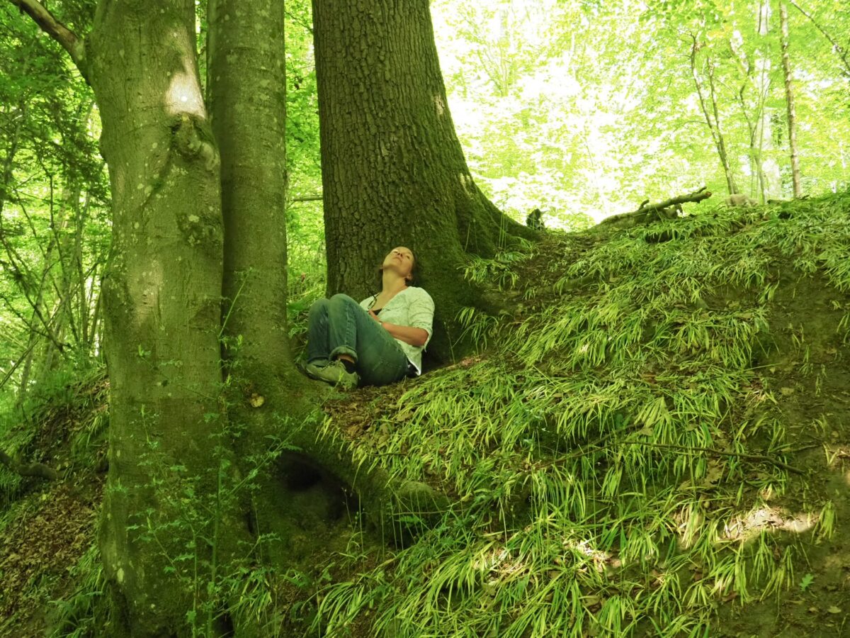 Restorative Nature connection for Wellbeing (for adults) - Children’s ...