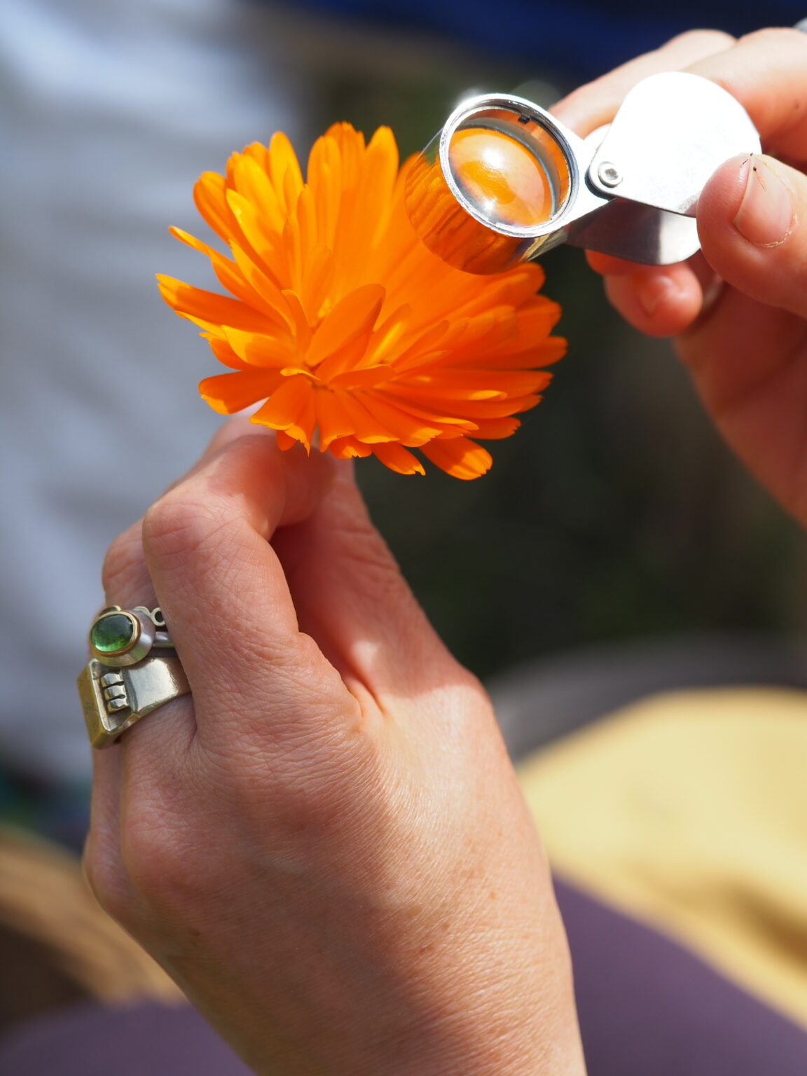 Restorative Nature connection for Wellbeing (for adults) - Children’s ...