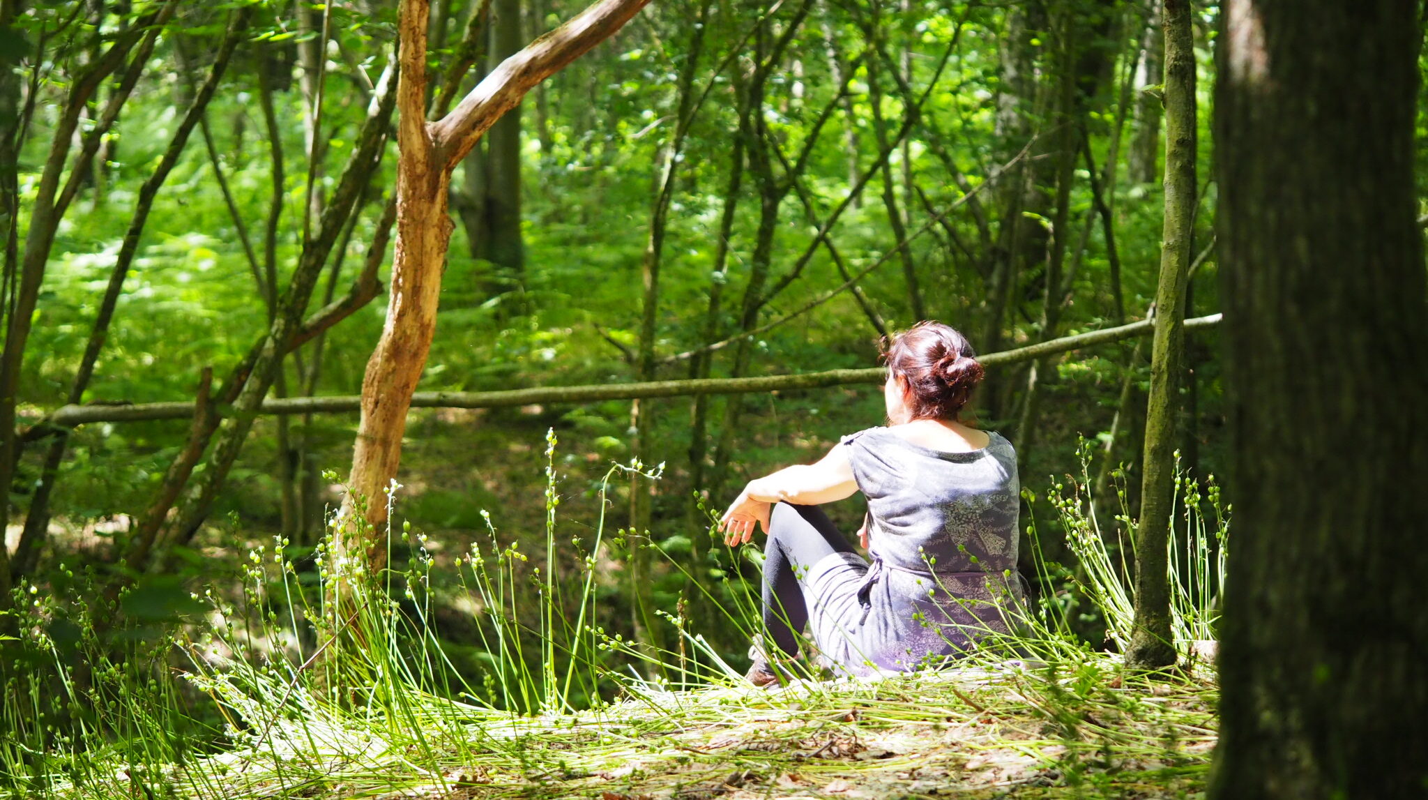 Restorative Nature connection for Wellbeing (for adults) - Children’s ...